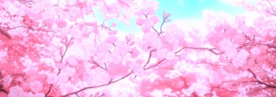 Flower Discord Banner