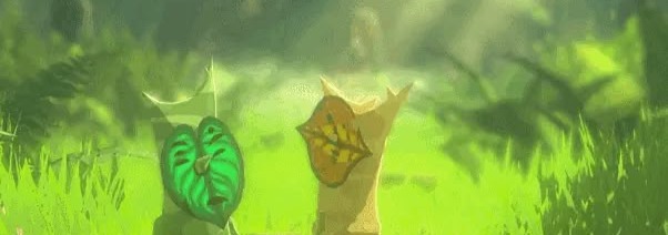 Zelda Discord Banner