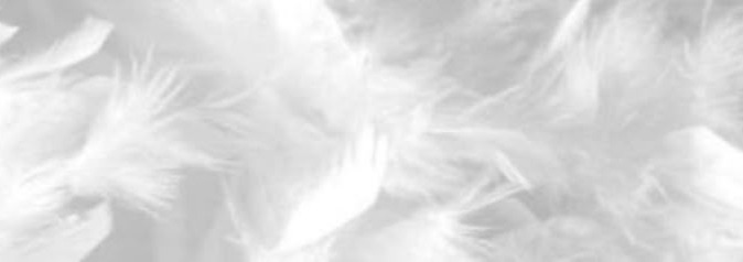 Angel Discord Banner