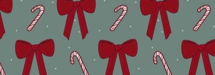 Aesthetic Christmas Discord Banner