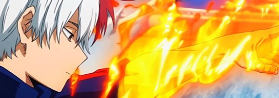 Todoroki Discord Banner