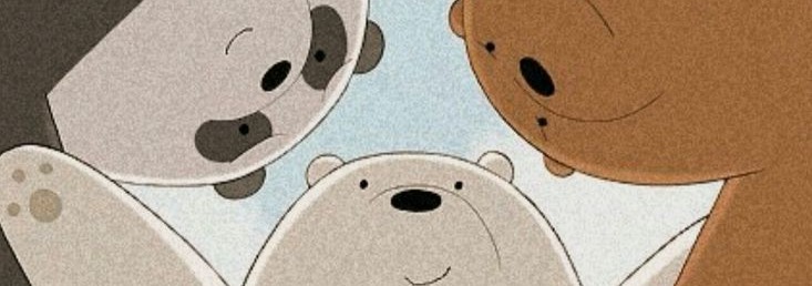 We Bare Bears Discord Banner
