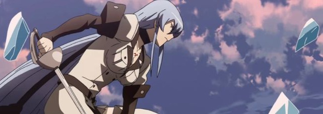 Esdeath Discord Banner