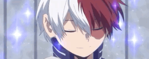 Shoto Todoroki Discord Banner