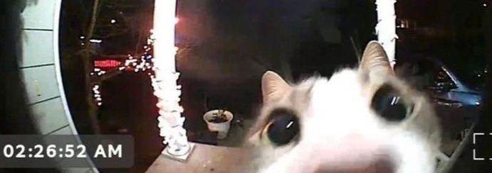 Troll Banners & Covers - For Discord, Instagram & TikTok