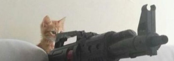 Animal Discord Banner