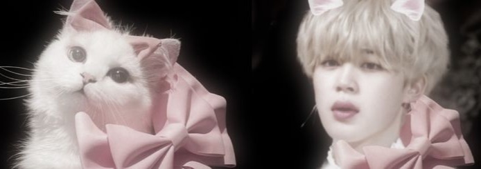 Jimin Discord Banner