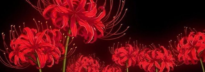 Random Discord Banner