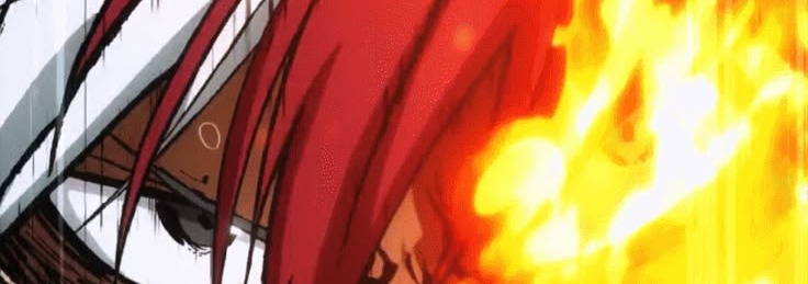 Todoroki Discord Banner