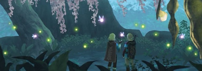 Toon Link Discord Banner