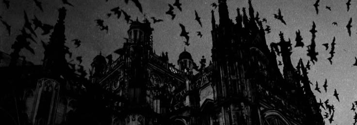 Angel Banners & Covers - For Discord, Instagram & TikTok