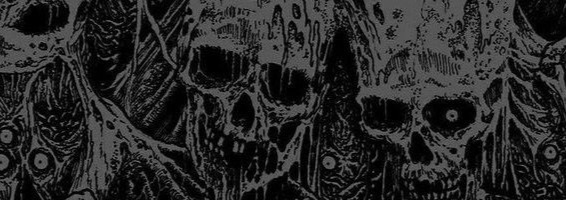 Skull Discord Banner