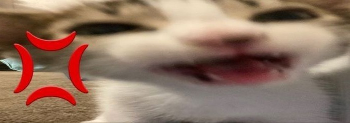 Memes Discord Banner