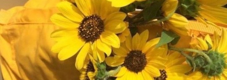 Yellow Banners & Covers - For Discord, Instagram & TikTok