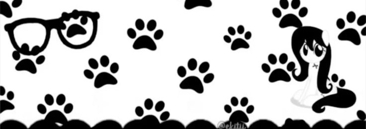 Panda Discord Banner