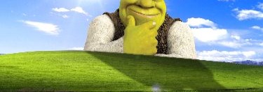 Shrek Discord Banner