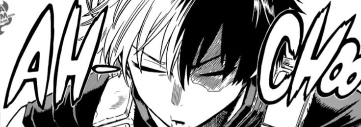 Shoto Todoroki Banners & Covers - For Discord, Instagram & TikTok