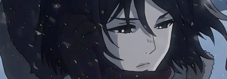 Mikasa Discord Banner