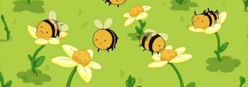 Adventure Time Banners & Covers - For Discord, Instagram & TikTok