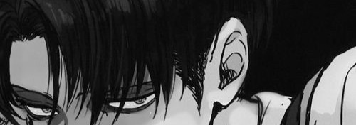 Levi Discord Banner