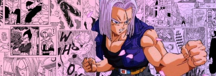 Trunks Discord Banner