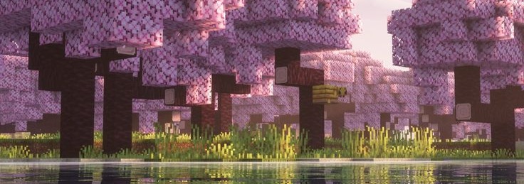 Minecraft Discord Banner