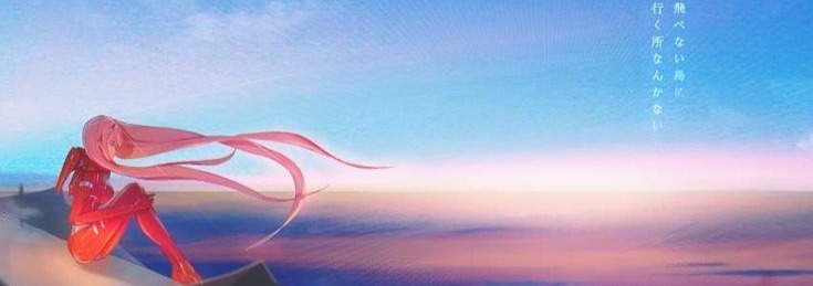 002 Banners & Covers - For Discord, Instagram & TikTok