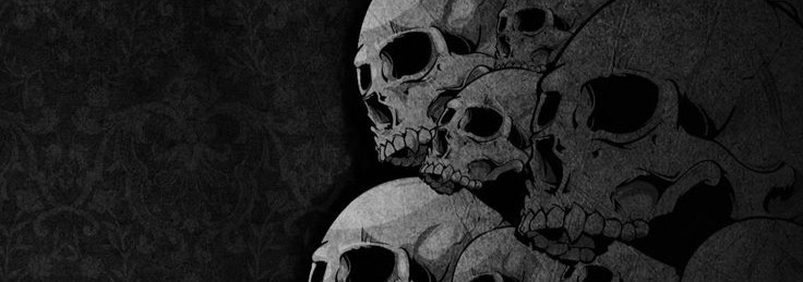 Skull Discord Banner