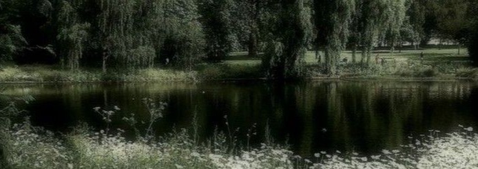 Sage Green Discord Banner