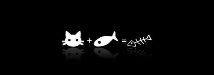 Black Cat Discord Banner