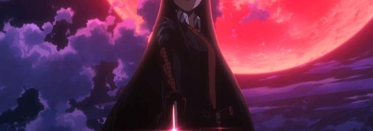 Akame Ga Kill Discord Banner