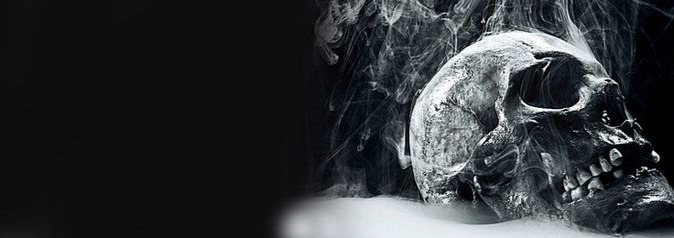 Skull Discord Banner