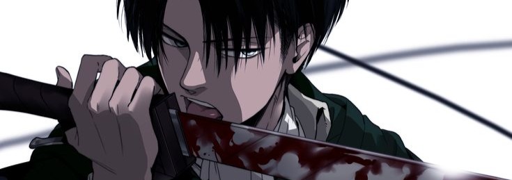 Levi Discord Banner