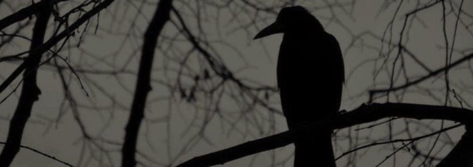 Goth Banners & Covers - For Discord, Instagram & TikTok