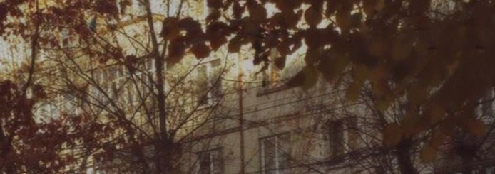 Autumn Discord Banner