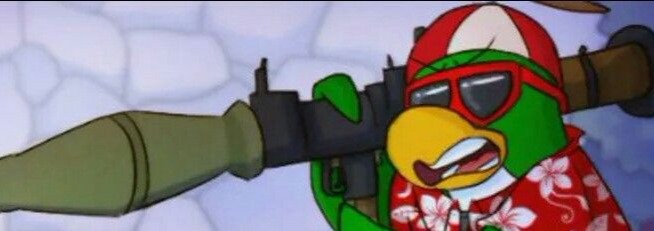 Penguin Banners & Covers - For Discord, Instagram & TikTok