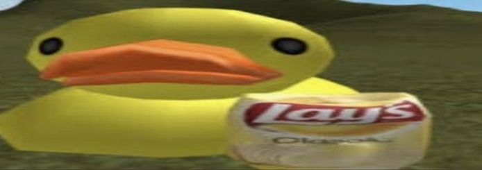 Duck Discord Banner