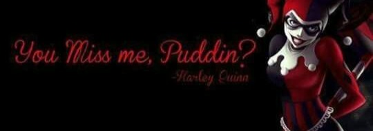 Harley Quinn Discord Banner