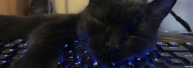 Chill Banners & Covers - For Discord, Instagram & TikTok