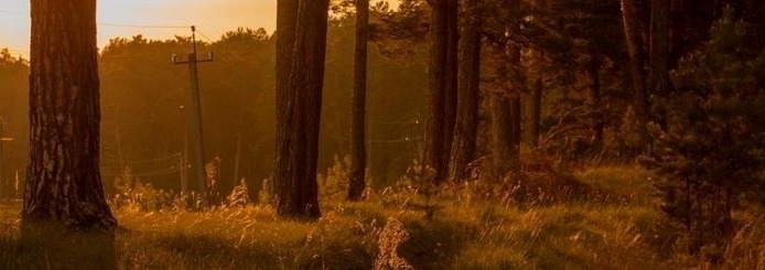 Rust Banners & Covers - For Discord, Instagram & TikTok