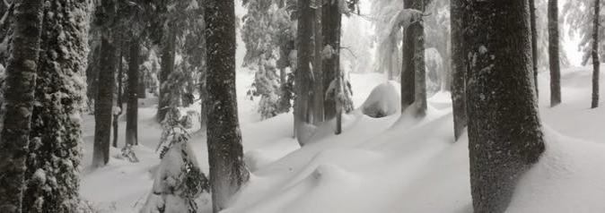 Winter Banners & Covers - For Discord, Instagram & TikTok
