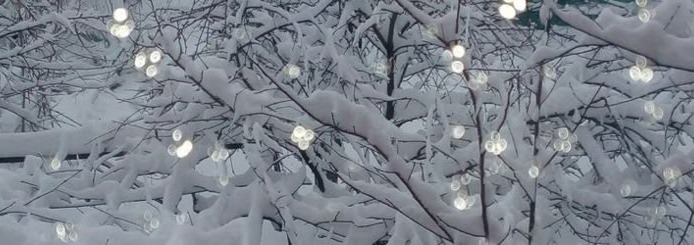 Cold Banners & Covers - For Discord, Instagram & TikTok