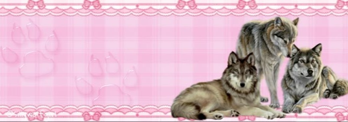 Wolf Discord Banner