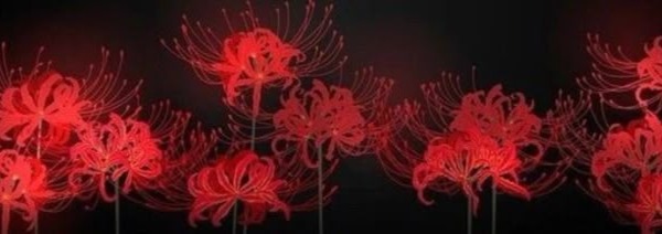 Red Anime Discord Banner