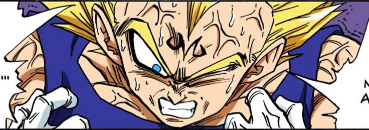 Vegeta Discord Banner