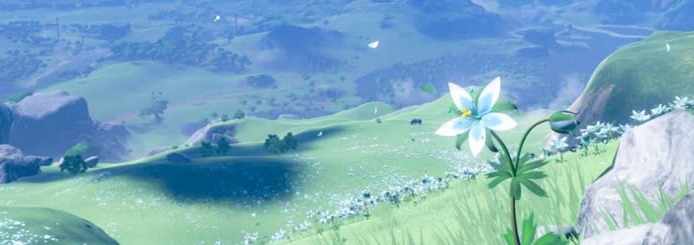 Zelda Discord Banner