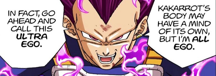 Vegeta Discord Banner