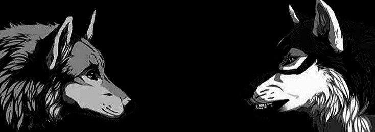 Wolf Discord Banner