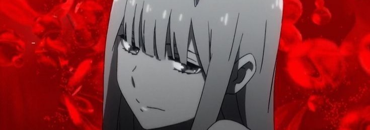 Zero Two Aesthetic Discord Banner