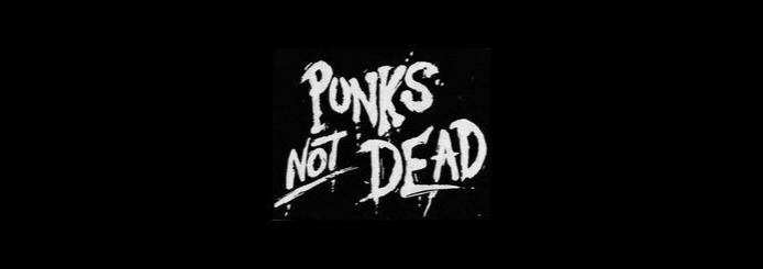 Punk Discord Banner